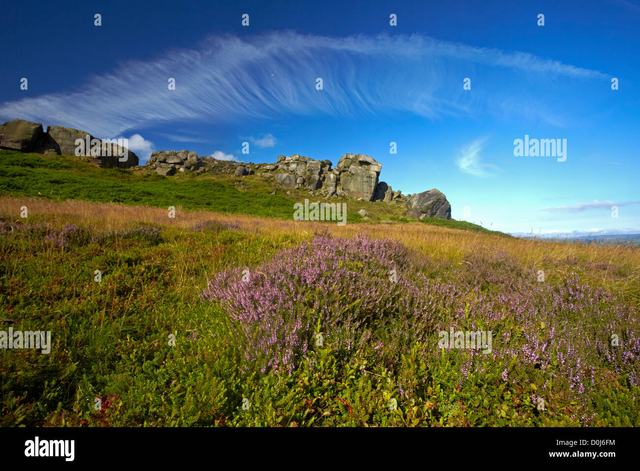 Cow and calf rocks hi-res stock photography and images - Alamy
