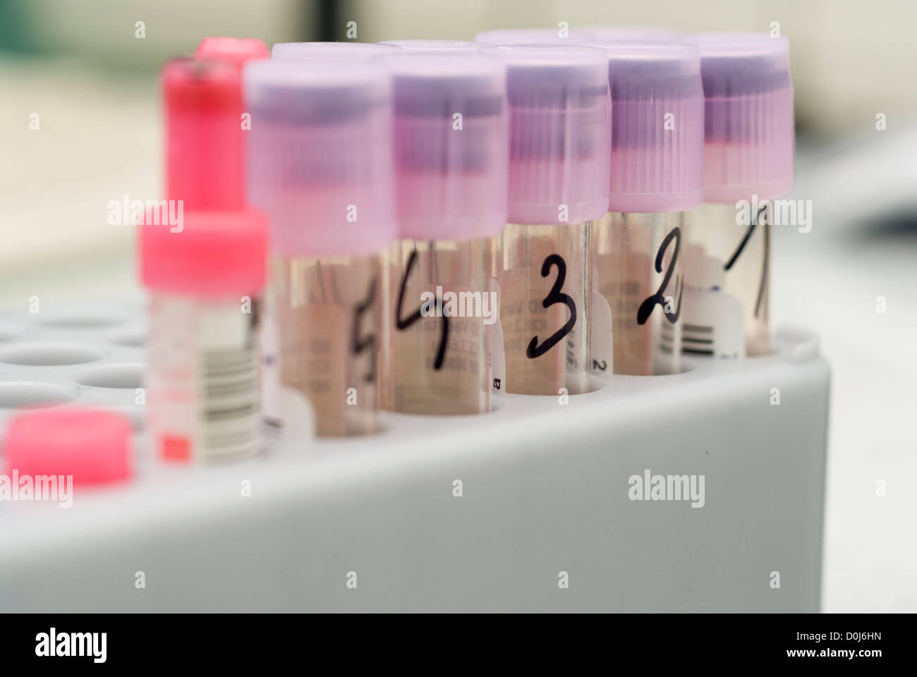 violet test tubes with numbers Stock Photo - Alamy