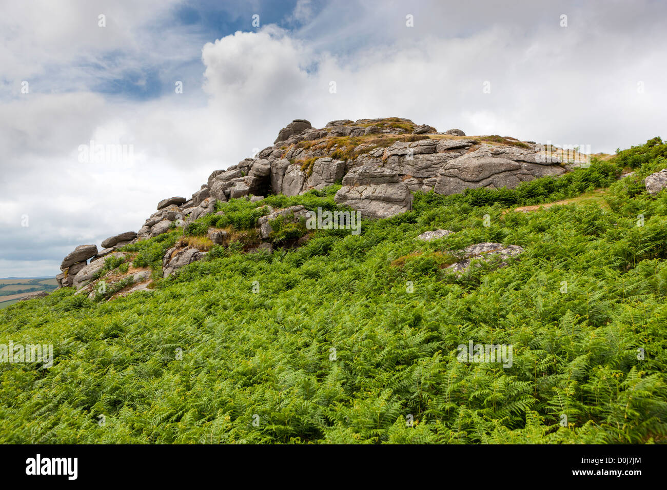 Bell tor hi-res stock photography and images - Alamy