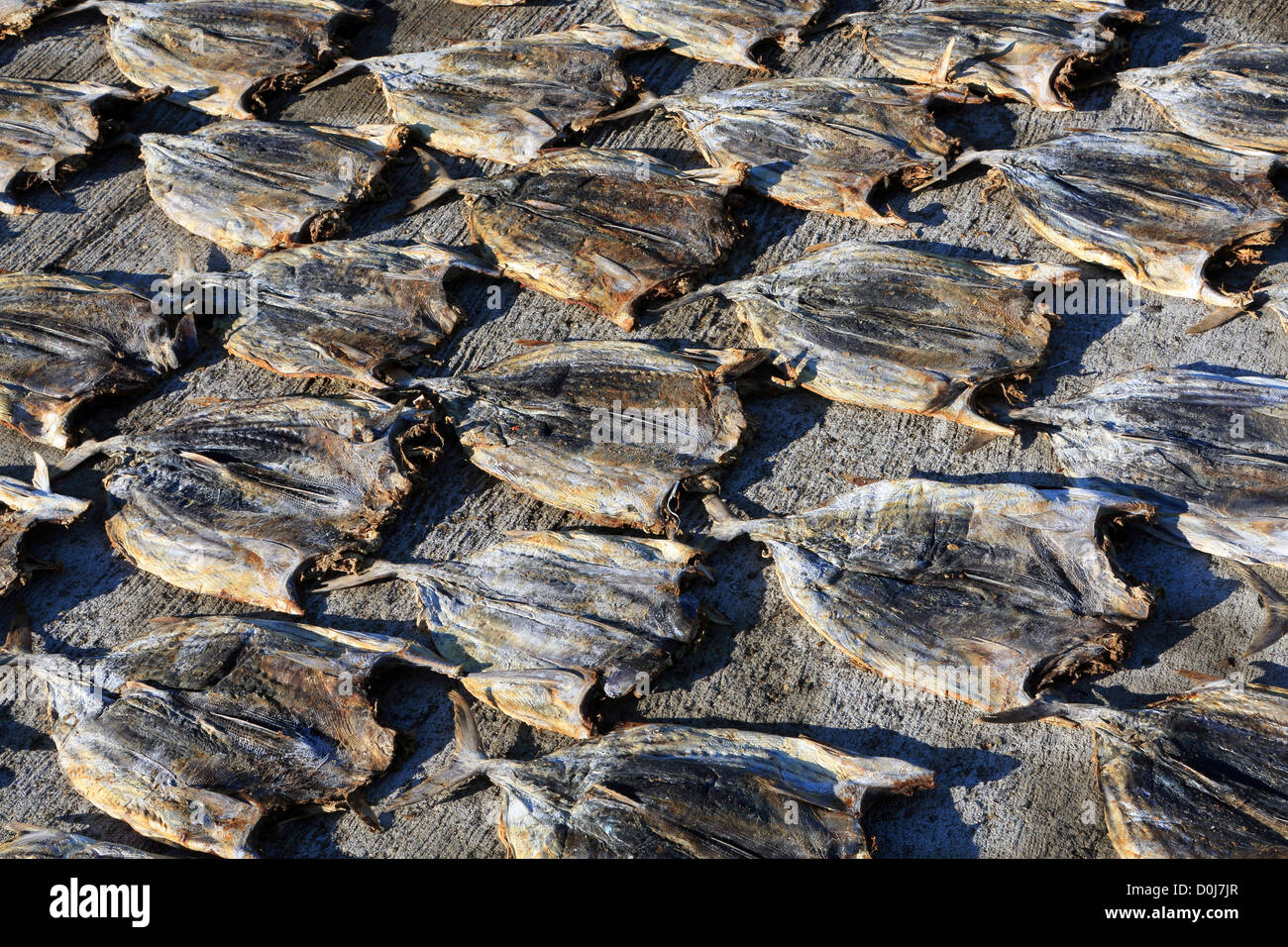 Filleted dried fish hi-res stock photography and images - Alamy