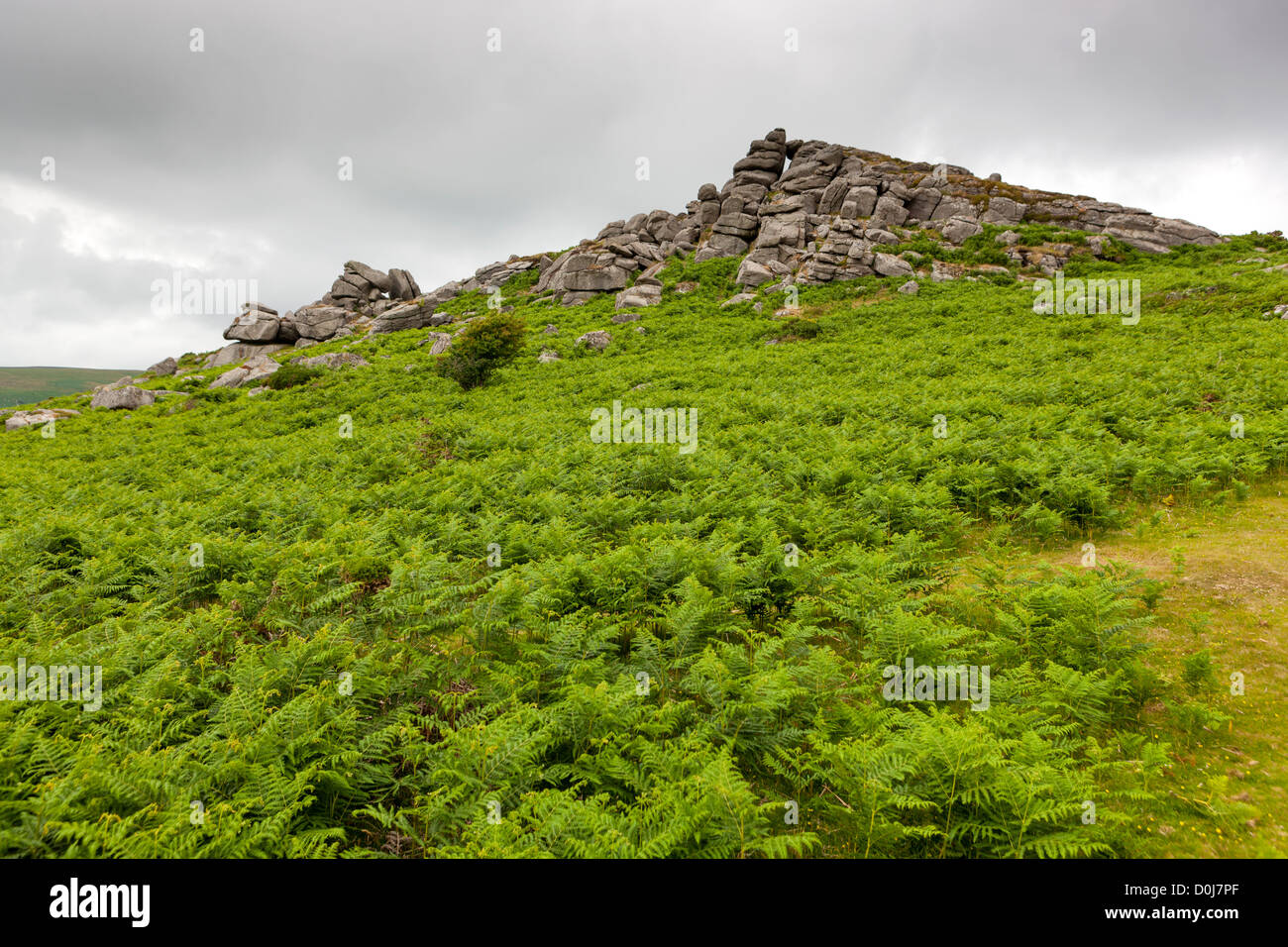 Bell tor hi-res stock photography and images - Alamy