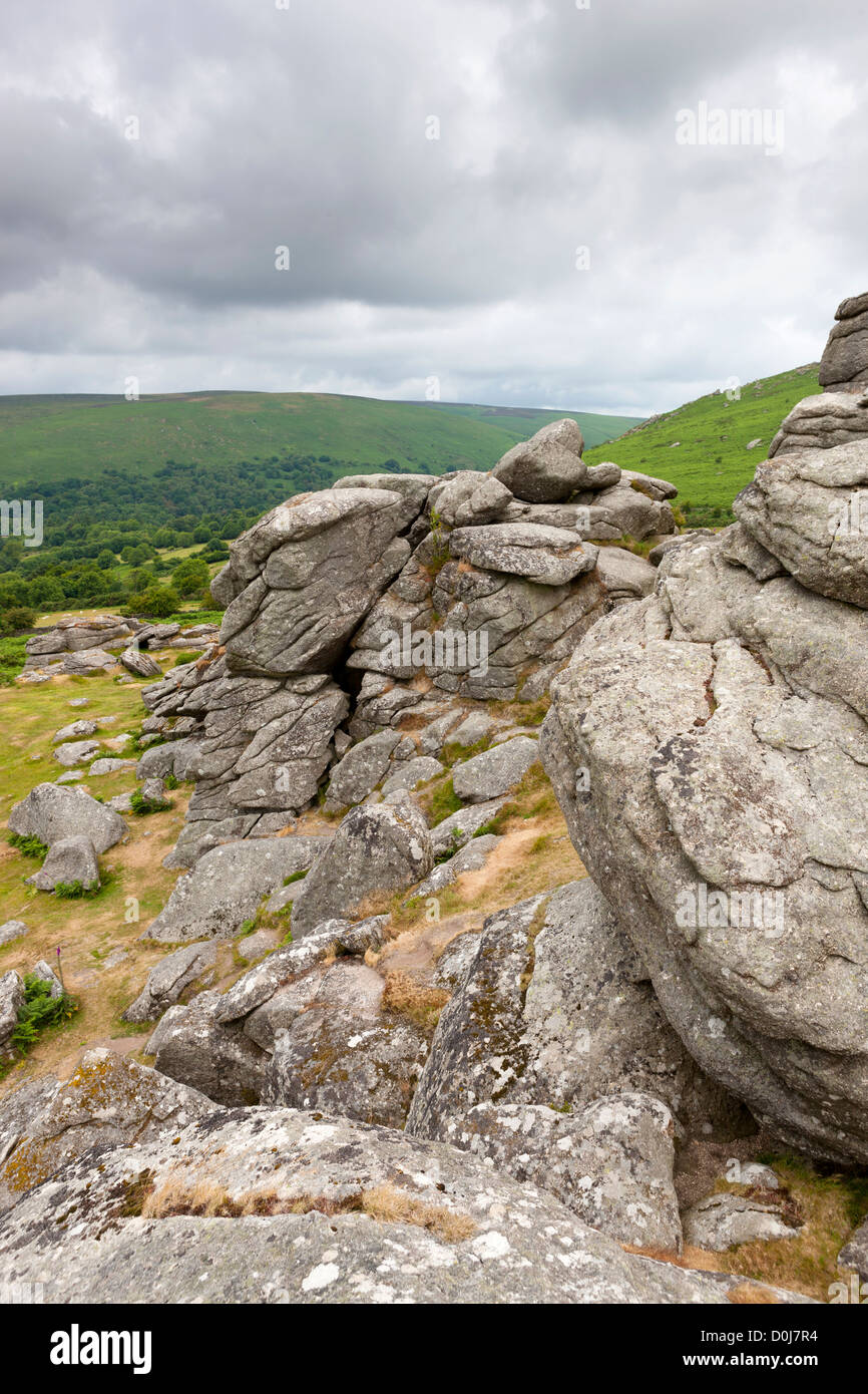 Bonehill Rocks in the Dartmoor National Park Stock Photo - Alamy