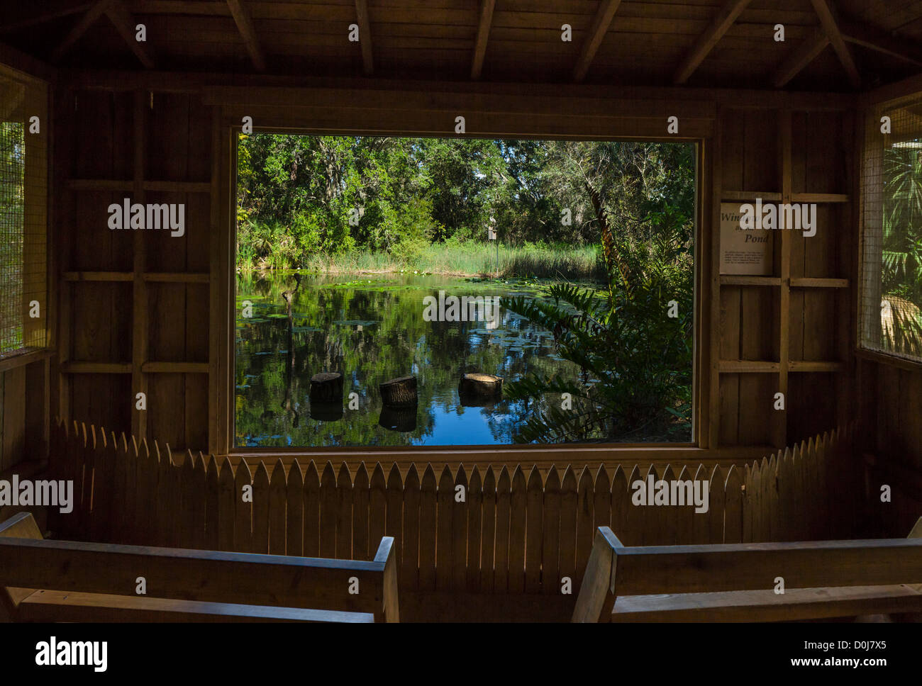 Window by the Pond, Bok Tower Gardens, Lake Wales, Polk County, Central ...