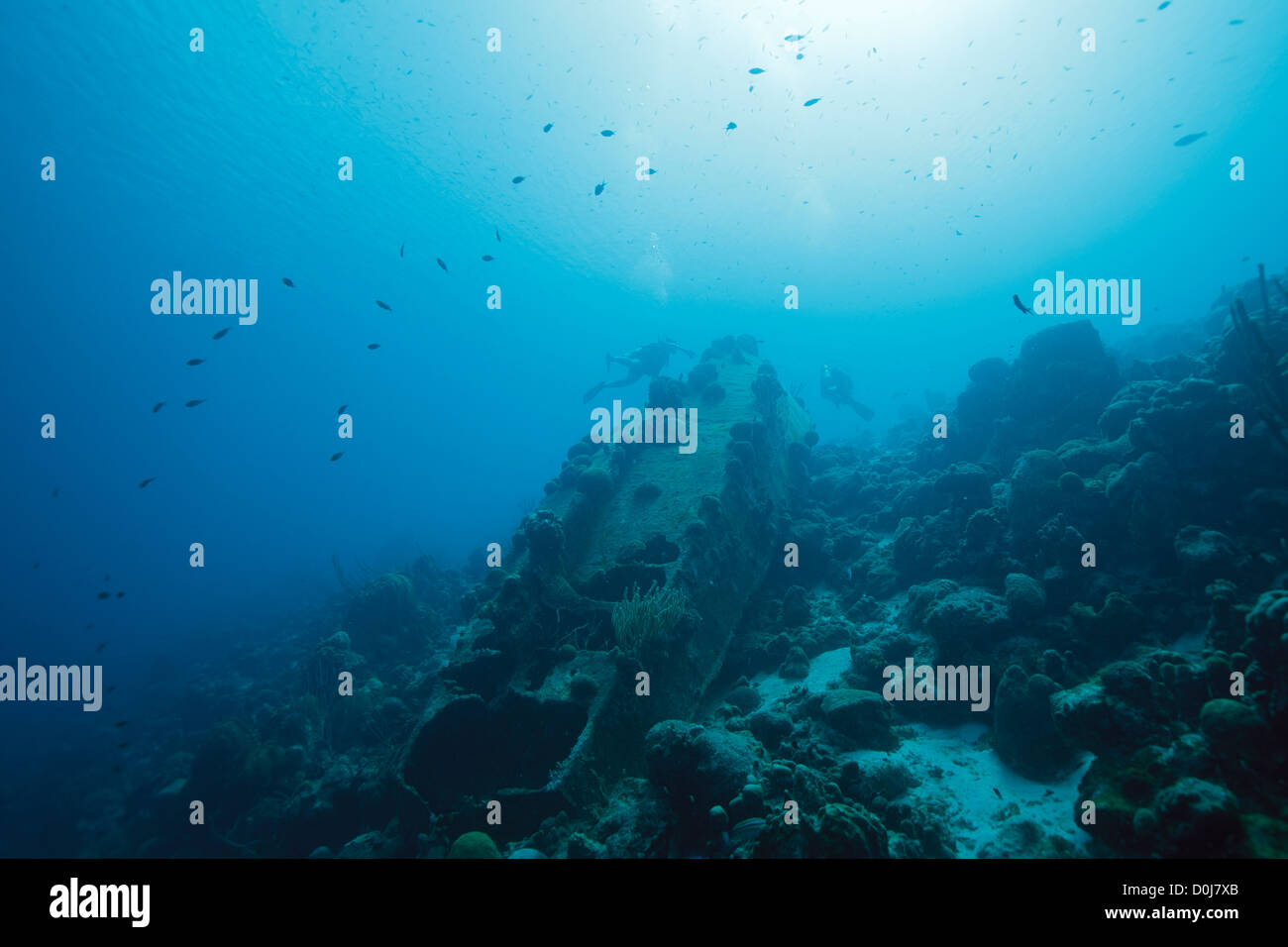 Fish around shipwreck hi-res stock photography and images - Alamy
