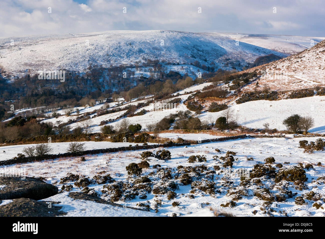 View from Bonehill Rocks on Bonehill Down. Dartmoor National Park ...