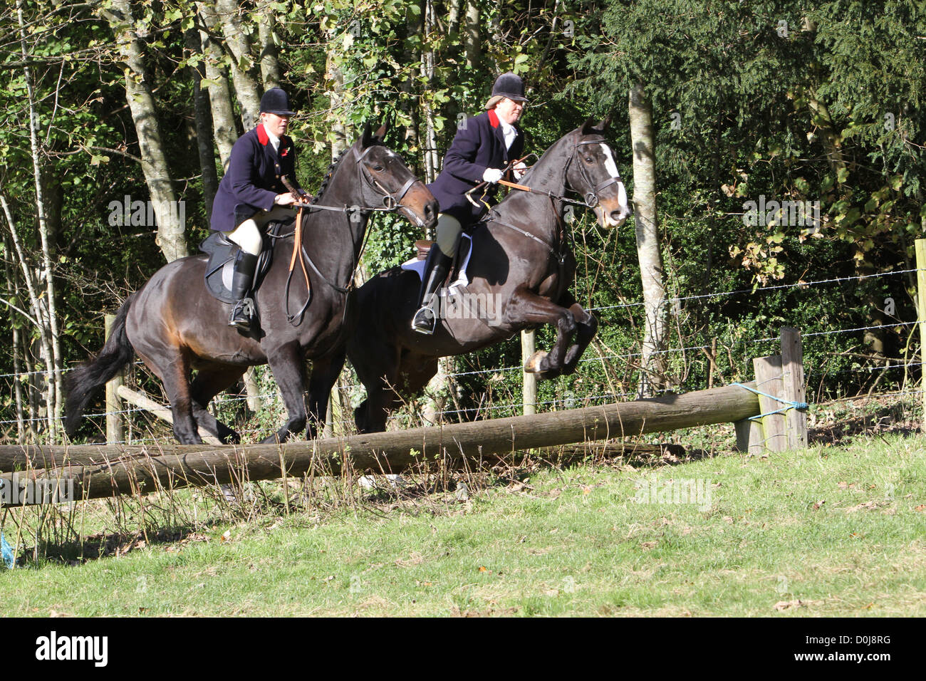 Masters of the Hounds Stock Photo - Alamy