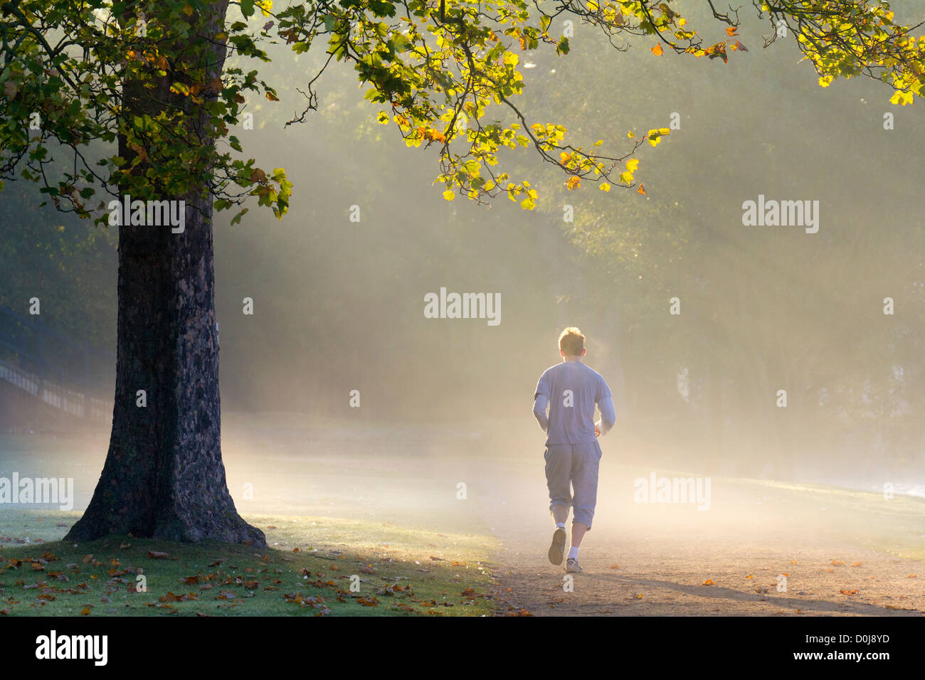A solitary jogger running on a misty autumn morning by the river Thames ...
