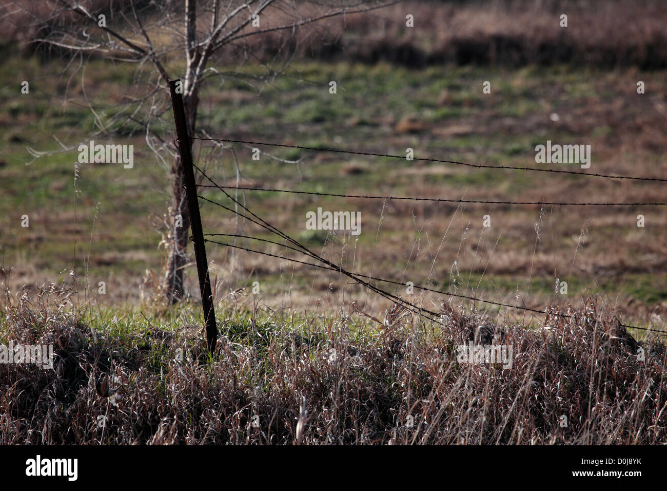 Broken end of a barbed wire fence Stock Photo - Alamy