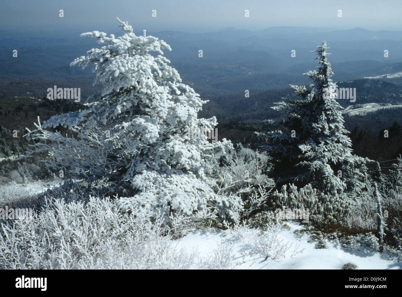 Appalachian Mountains Snow