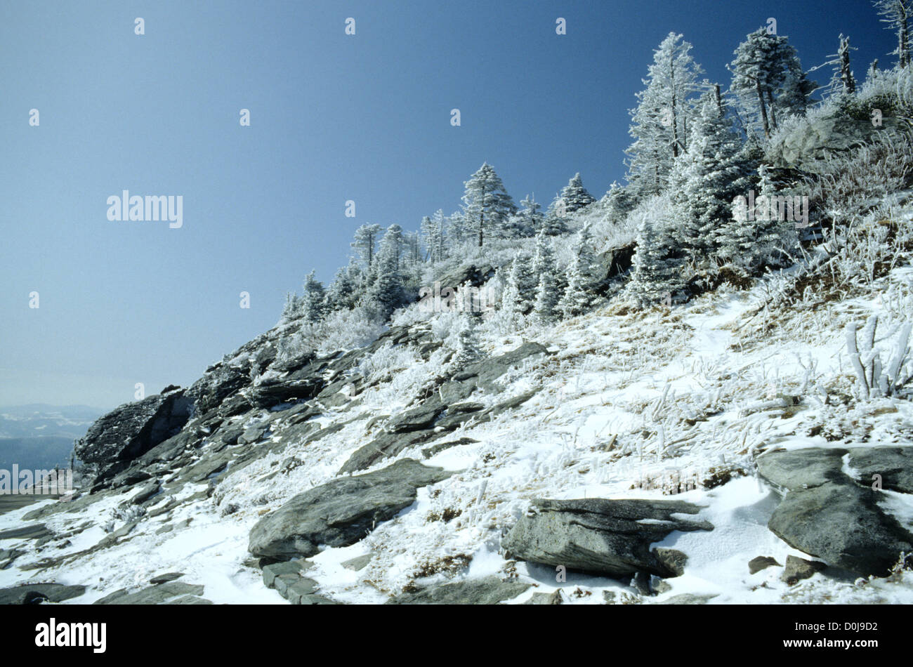 Appalachian Mountains Snow