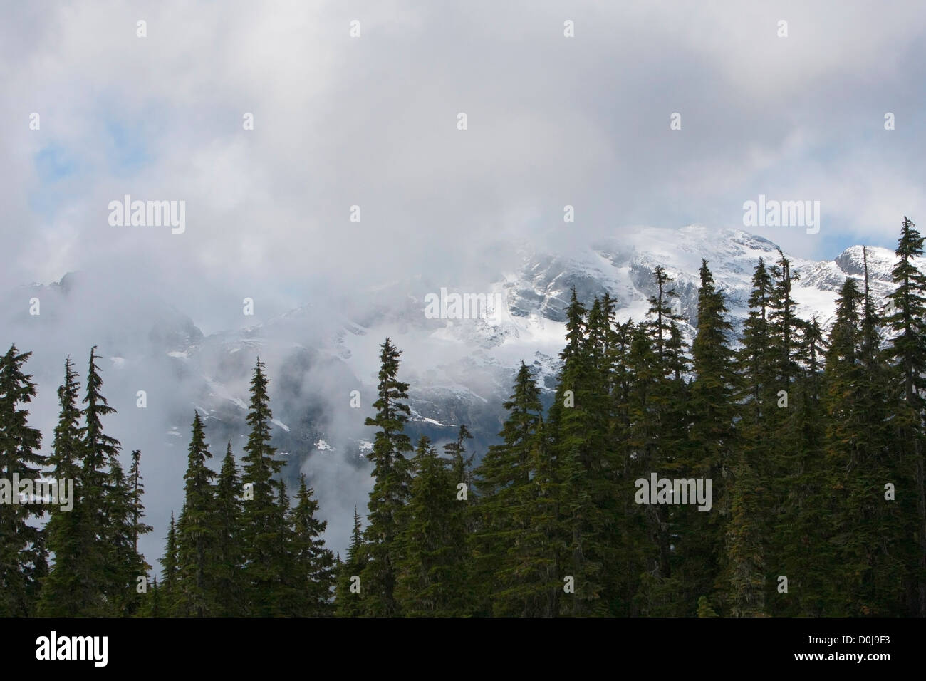 Forbidden Plateau High Resolution Stock Photography and Images - Alamy