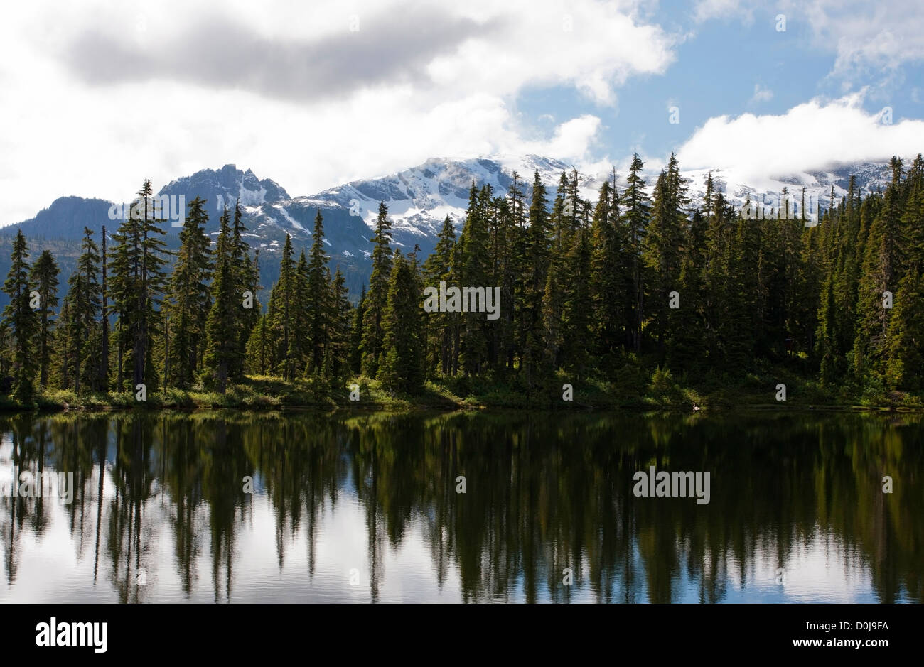Forbidden plateau strathcona park hi-res stock photography and images ...