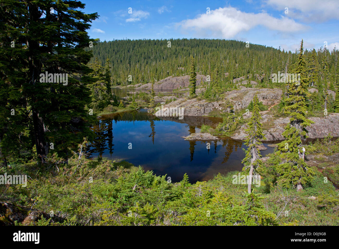 Forbidden plateau strathcona park hi-res stock photography and images ...