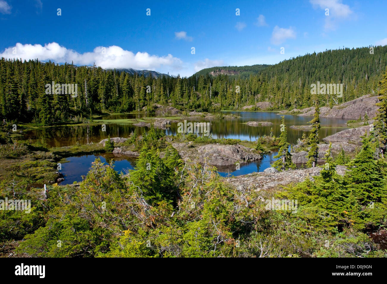 Sub alpine hi-res stock photography and images - Alamy