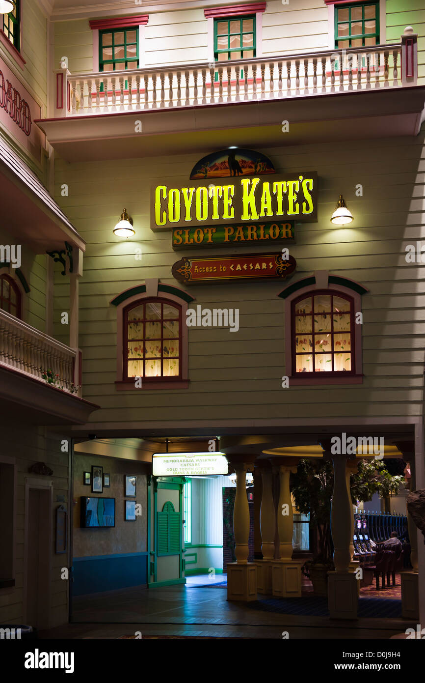 Coyote kate's hi-res stock photography and images - Alamy