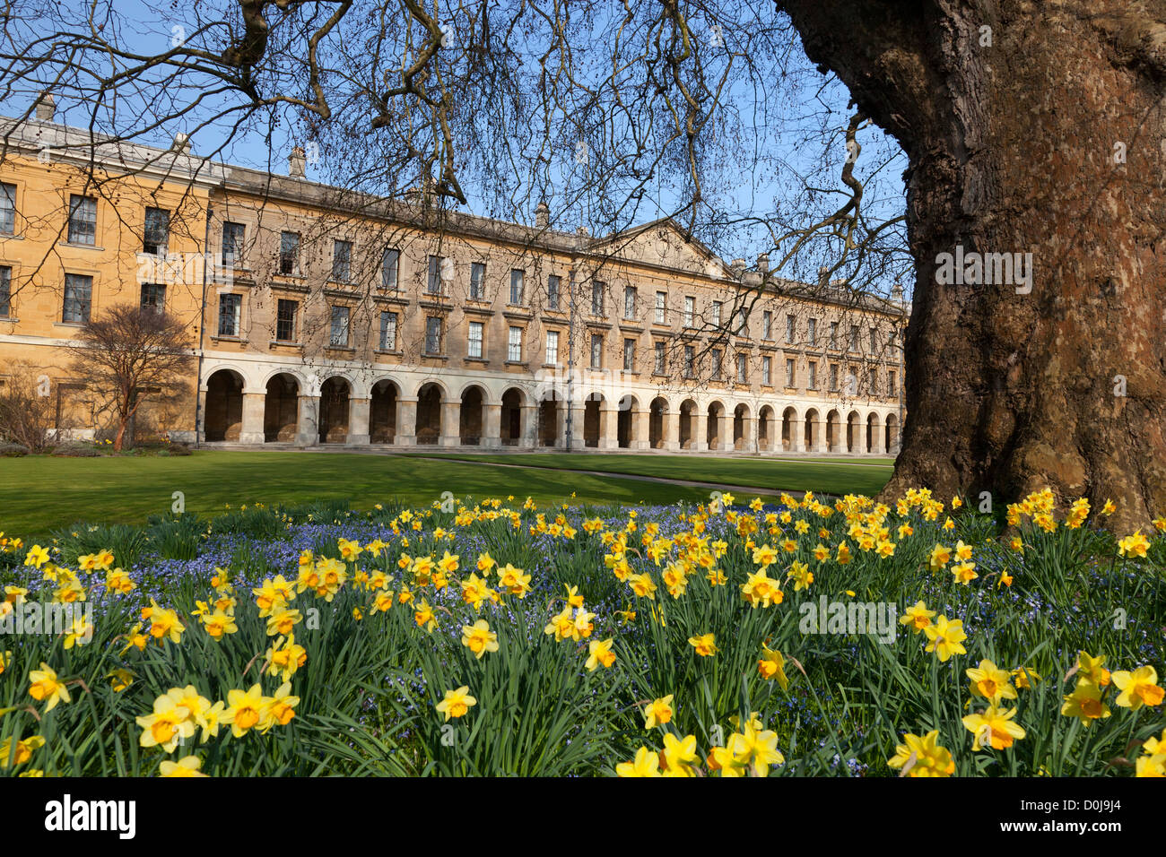 A view toward the New Building of Magdalen College in Oxford at ...