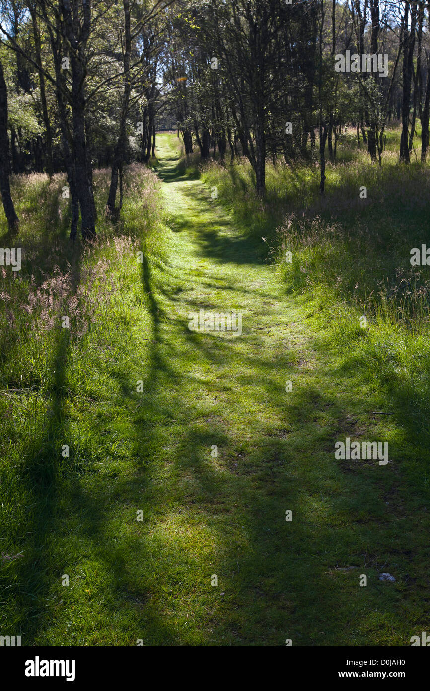 The shadows path hi-res stock photography and images - Alamy