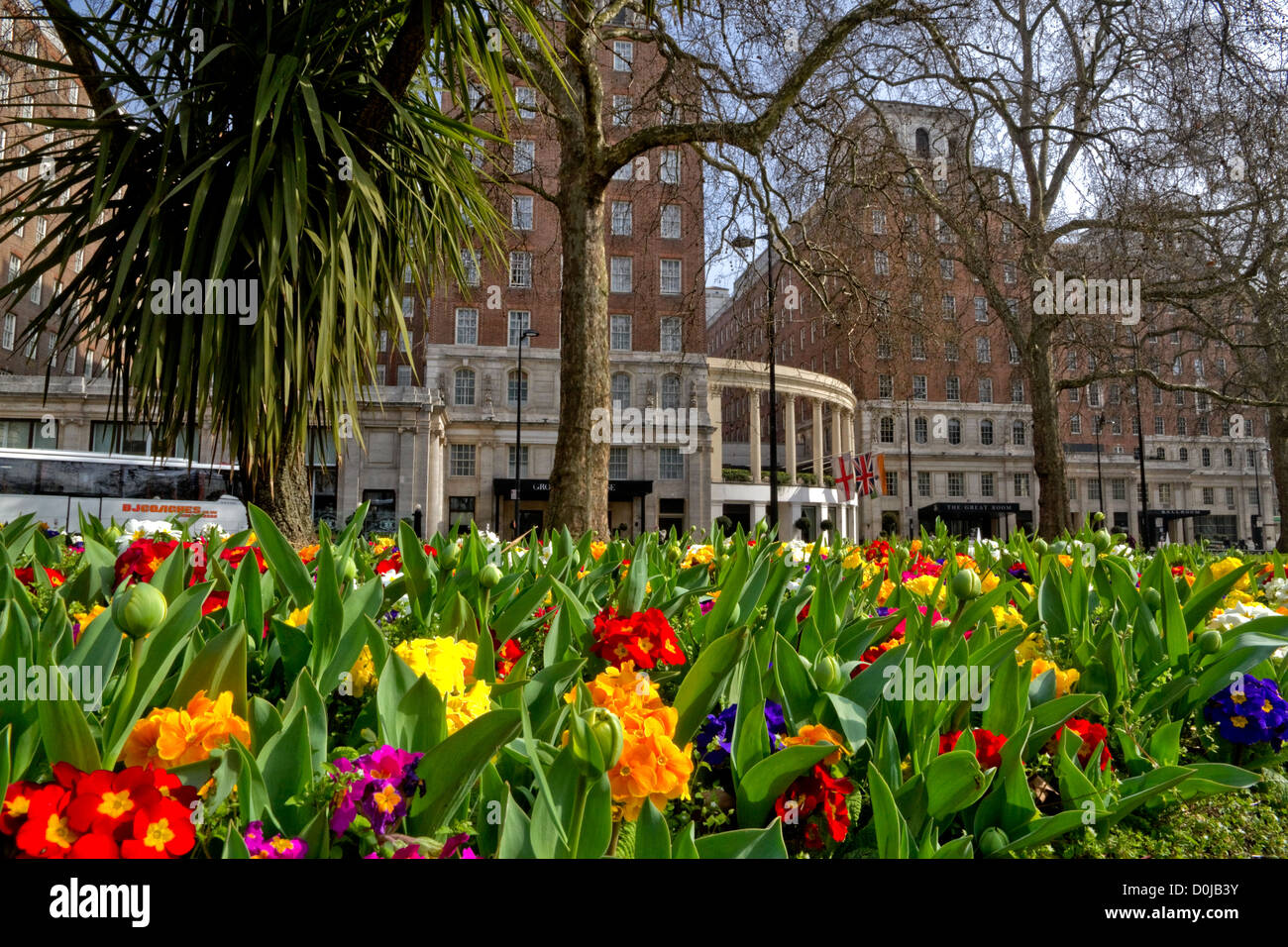 Spring flowers in Park Lane Stock Photo - Alamy
