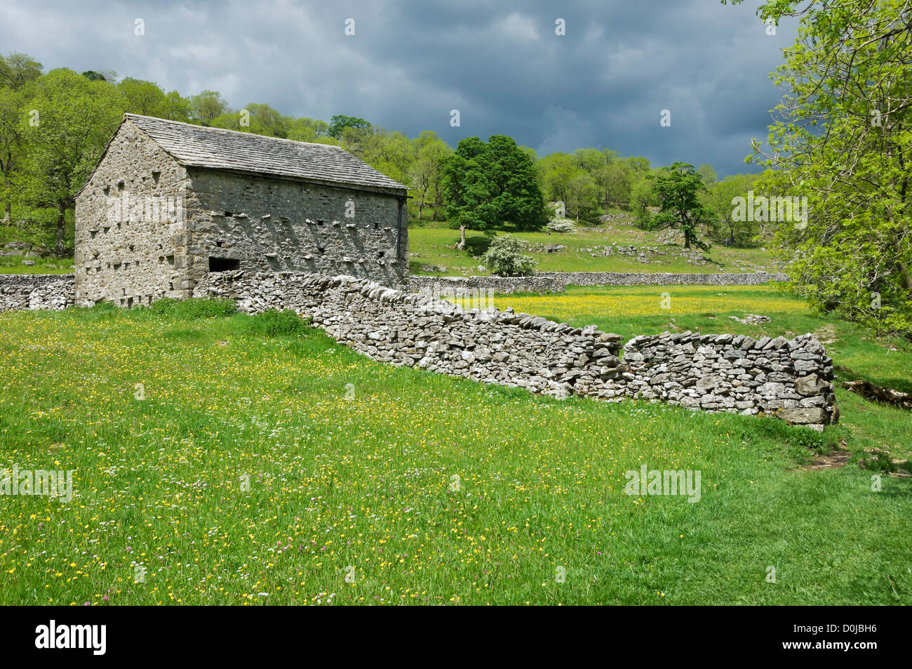 Kim hay hi-res stock photography and images - Alamy