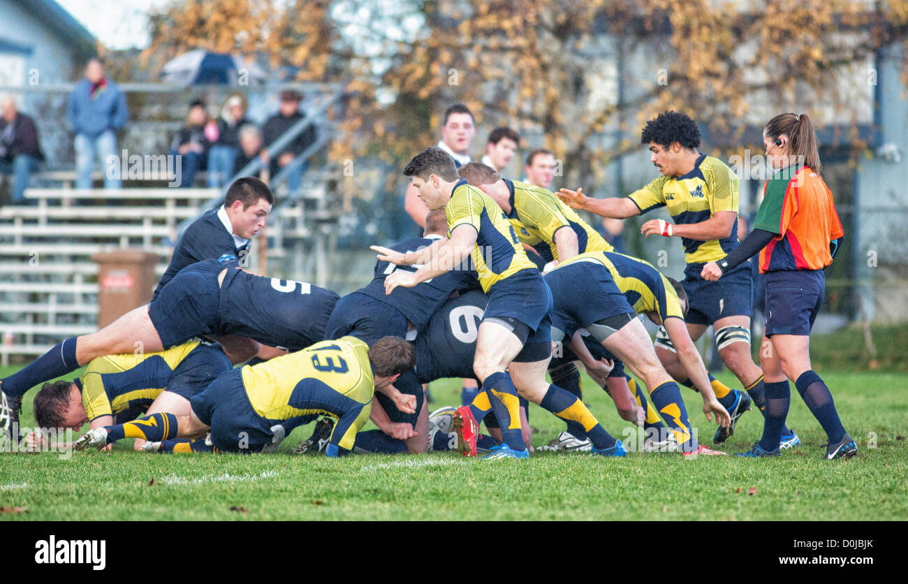 Victoria vikes hi-res stock photography and images - Alamy