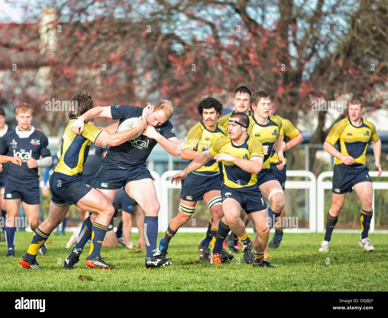 Victoria vikes hi-res stock photography and images - Alamy