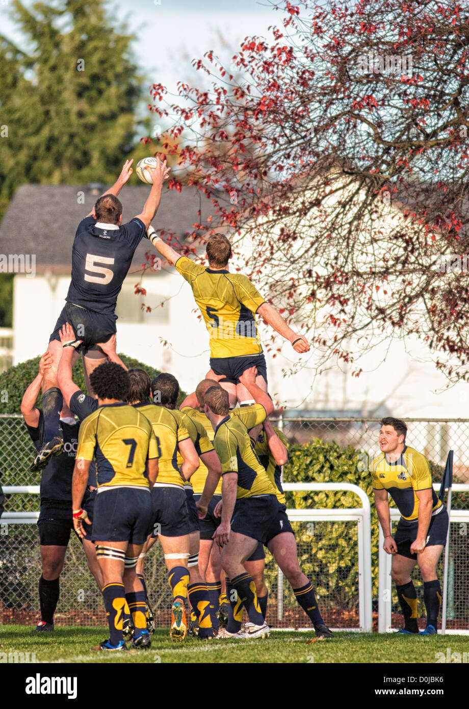 Men's rugby. VIKES vs. James Bay Athletic Association. University of ...