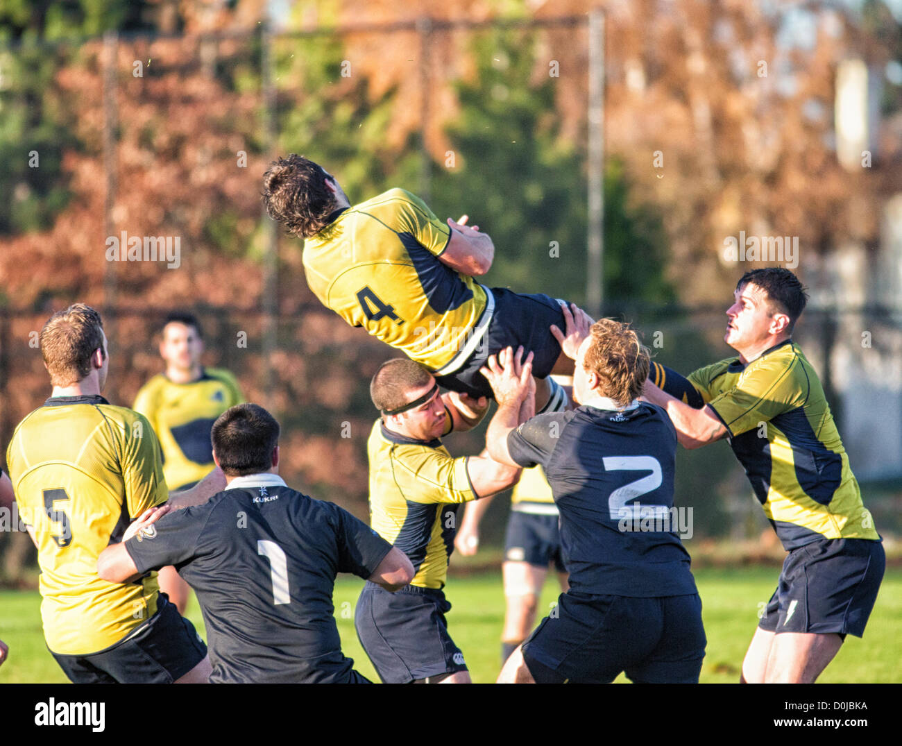 Victoria vikes hi-res stock photography and images - Alamy