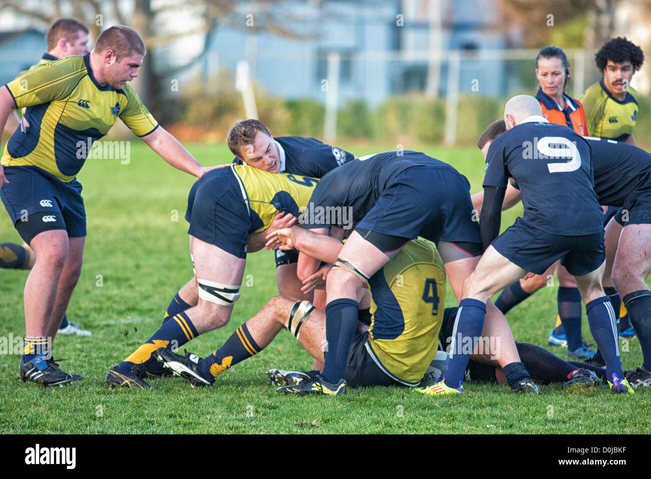 Victoria vikes hi-res stock photography and images - Alamy