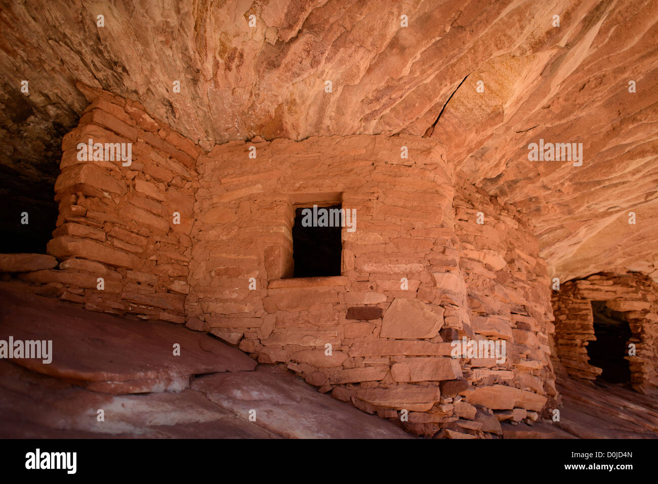 Rulers Of The Anasazi
