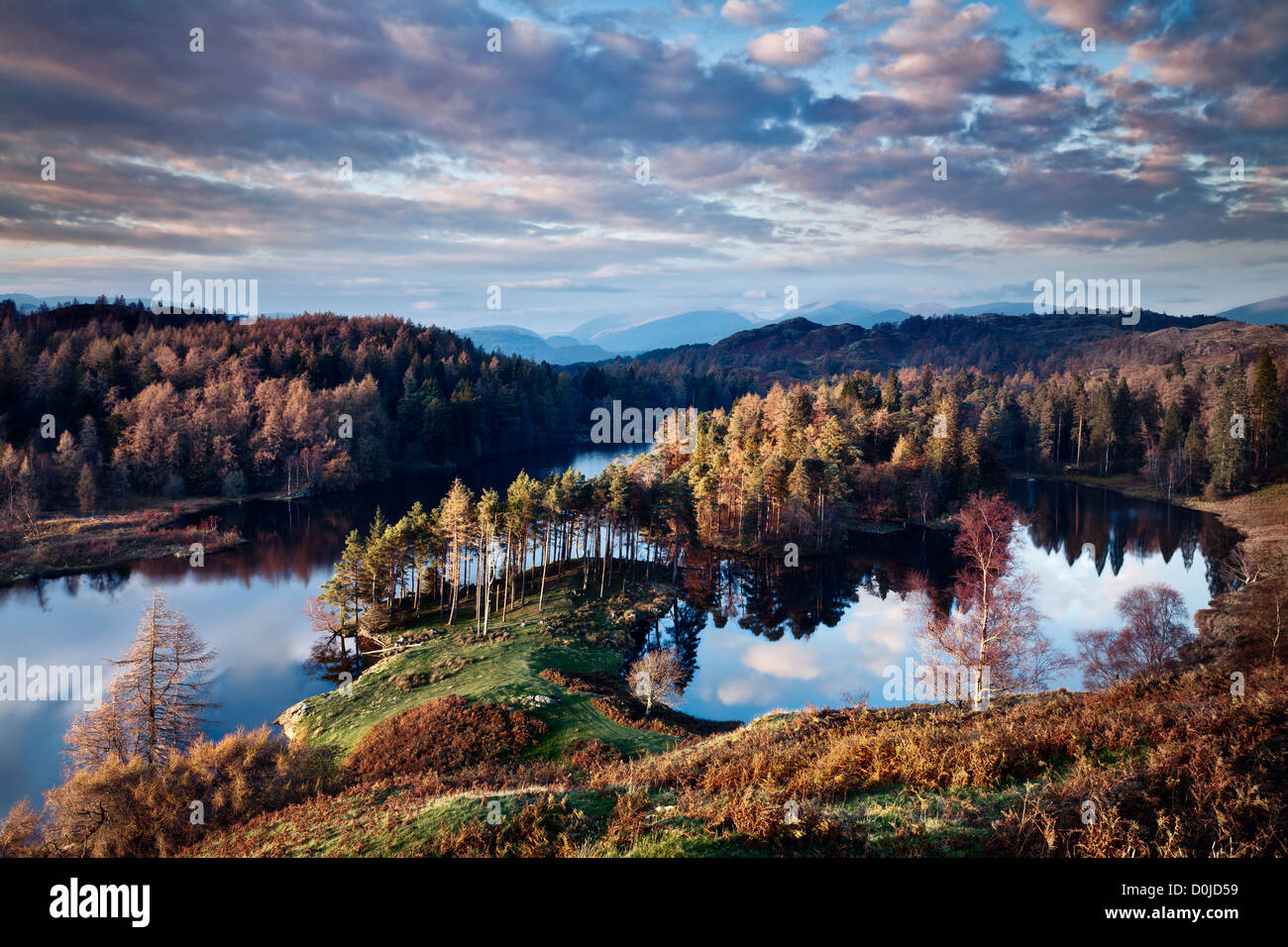 View of Tarn Hows in Cumbria Stock Photo - Alamy
