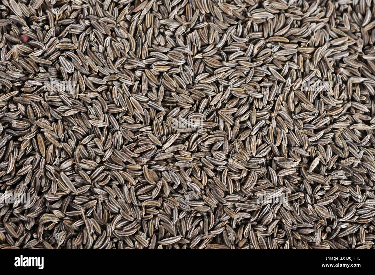 Cumin seed texture hi-res stock photography and images - Alamy