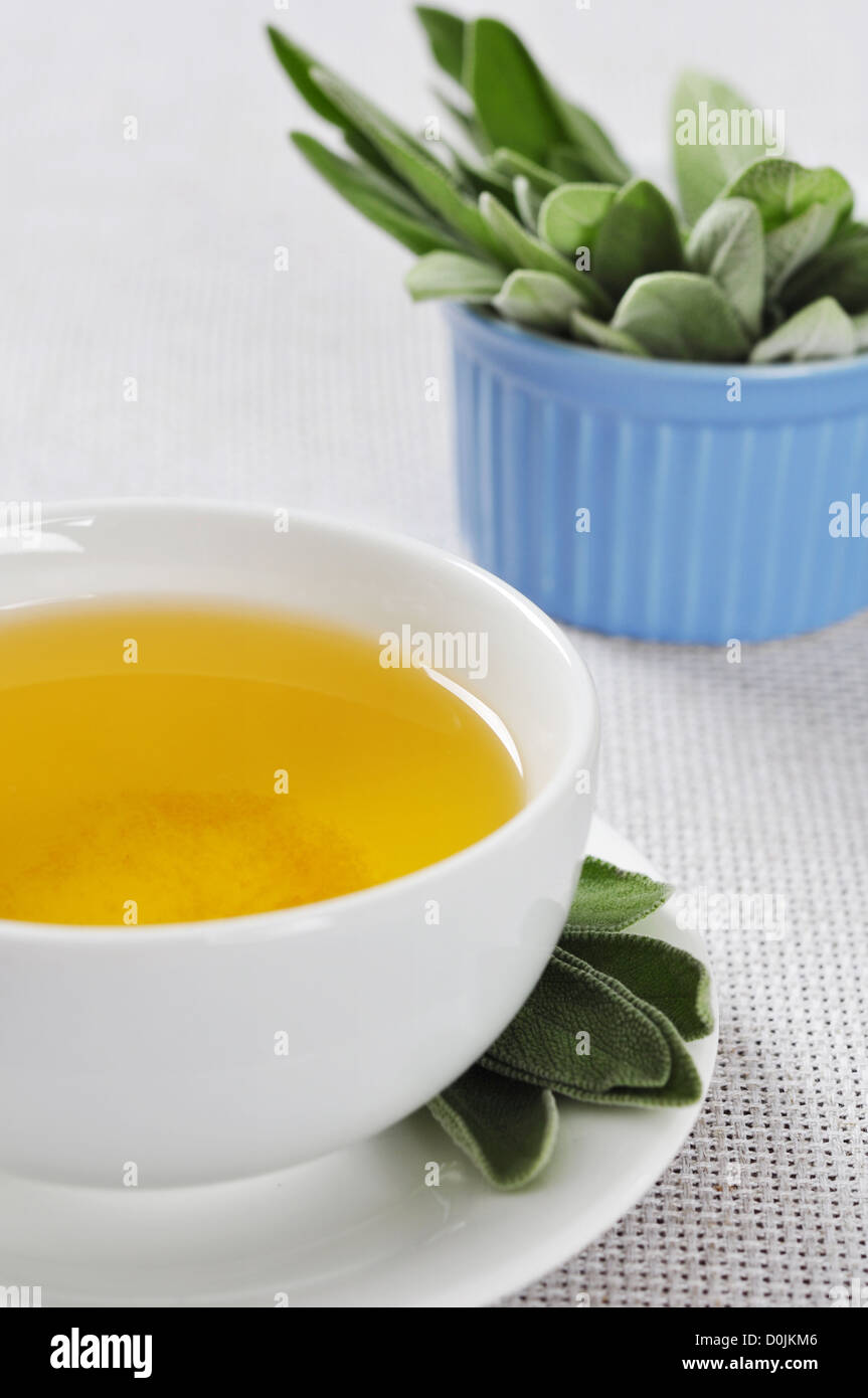 Herbal tea sage hi-res stock photography and images - Alamy