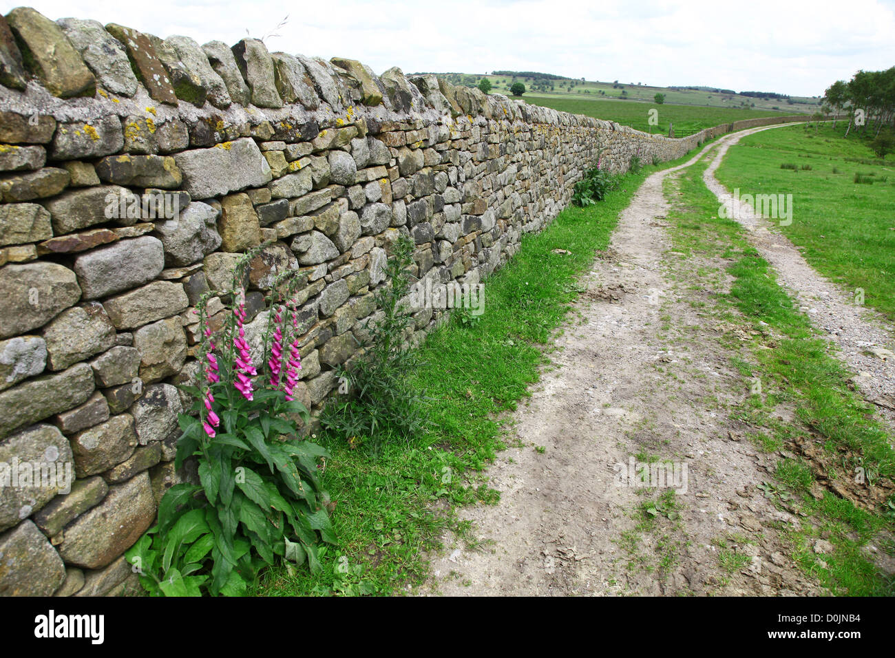 Dry stone wall near to Baslow Edge Jack Flat Derbyshire England UK ...