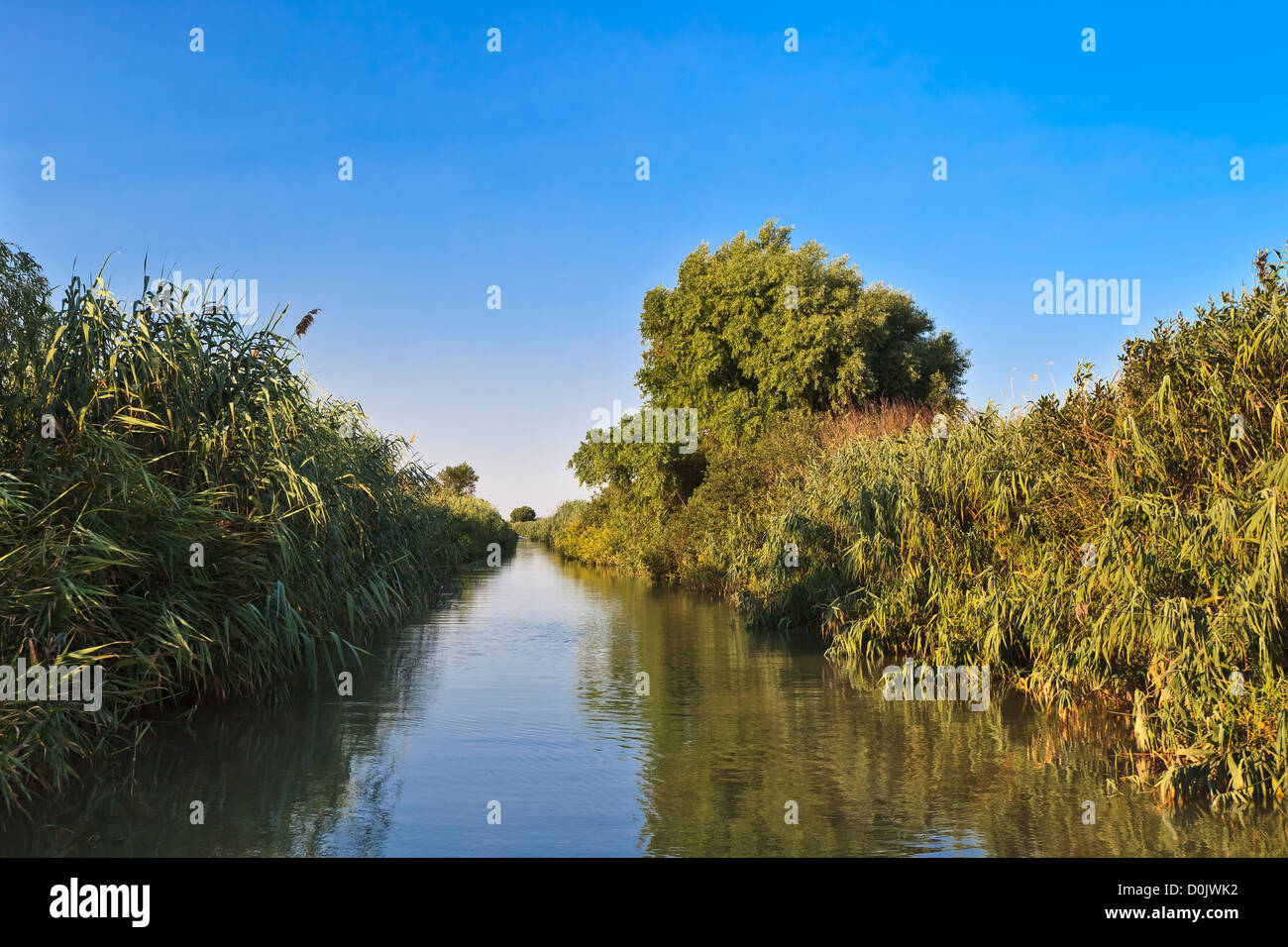 Danubian river hi-res stock photography and images - Alamy