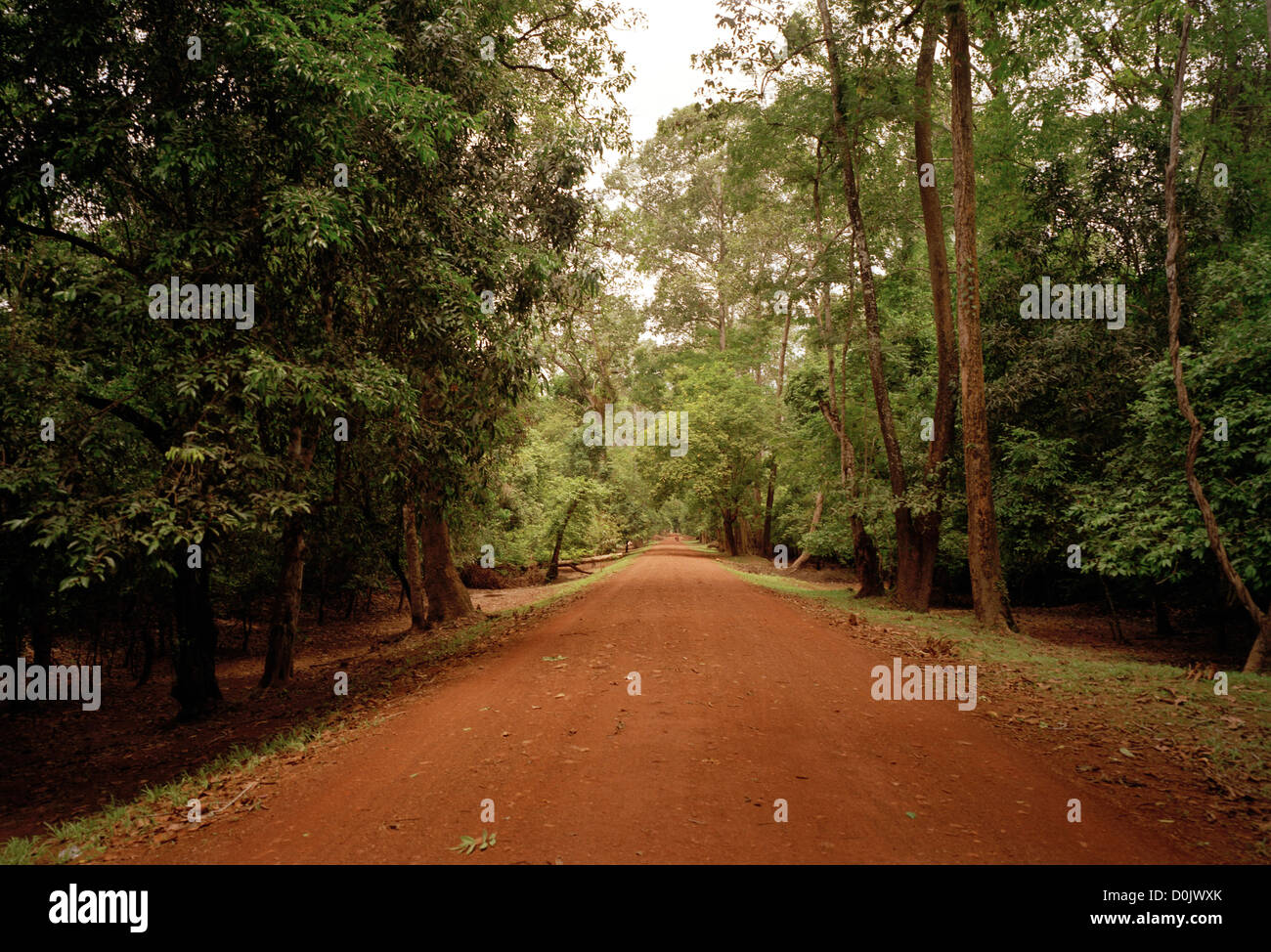 Path at the Khmer Angkor Thom of The Temples of Angkor in Cambodia in ...