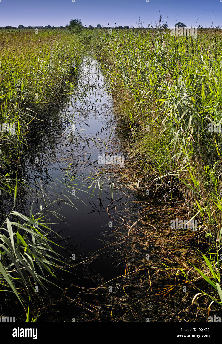 Fenland scenery hi-res stock photography and images - Alamy