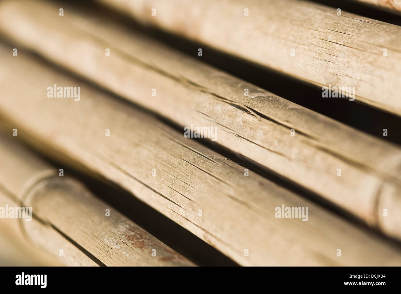Close-up of dry bamboos Stock Photo - Alamy