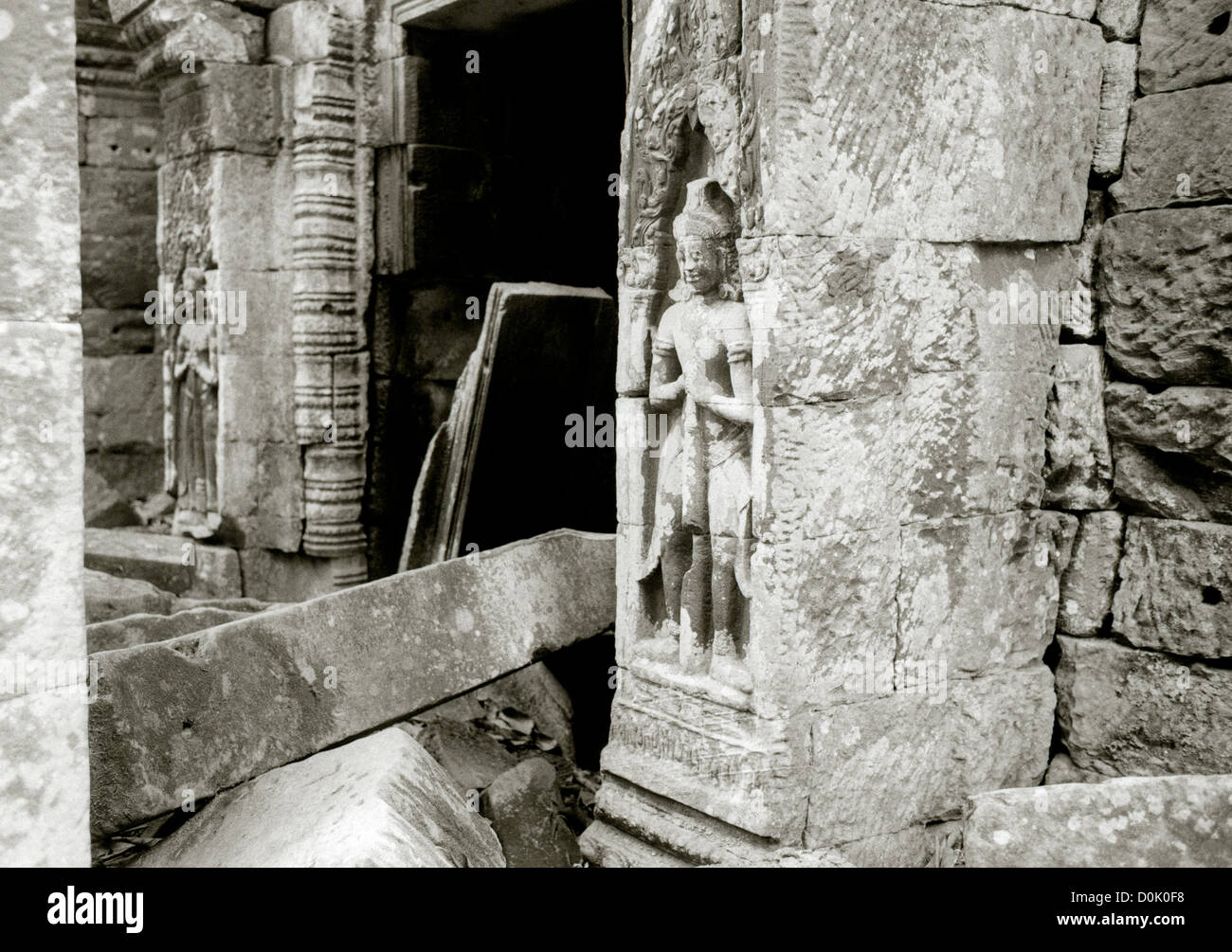 Travel Photography - The Temple of Ta Prohm at The Temples of Angkor in ...