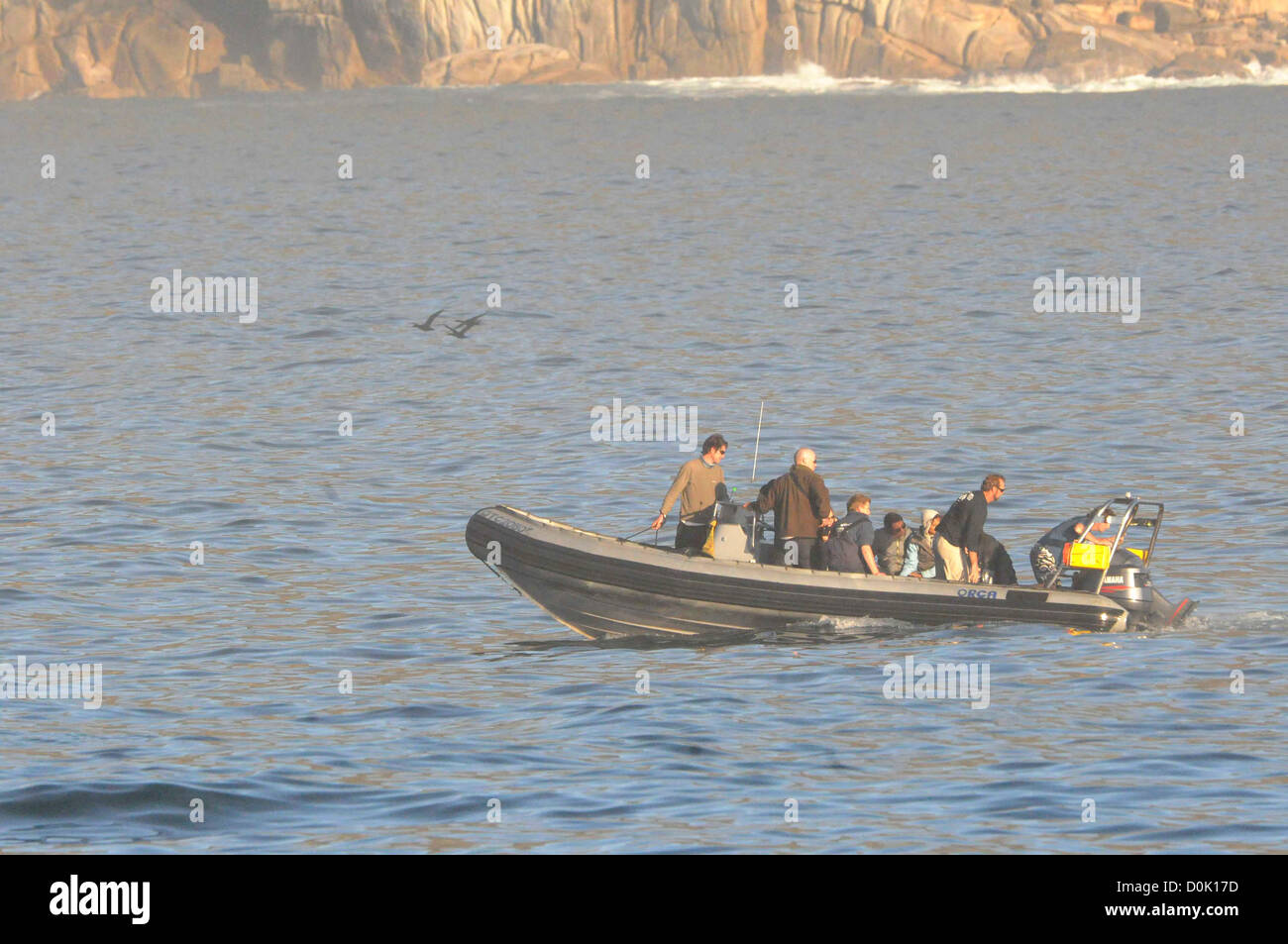 Halle berry cast dark tide hi-res stock photography and images - Alamy