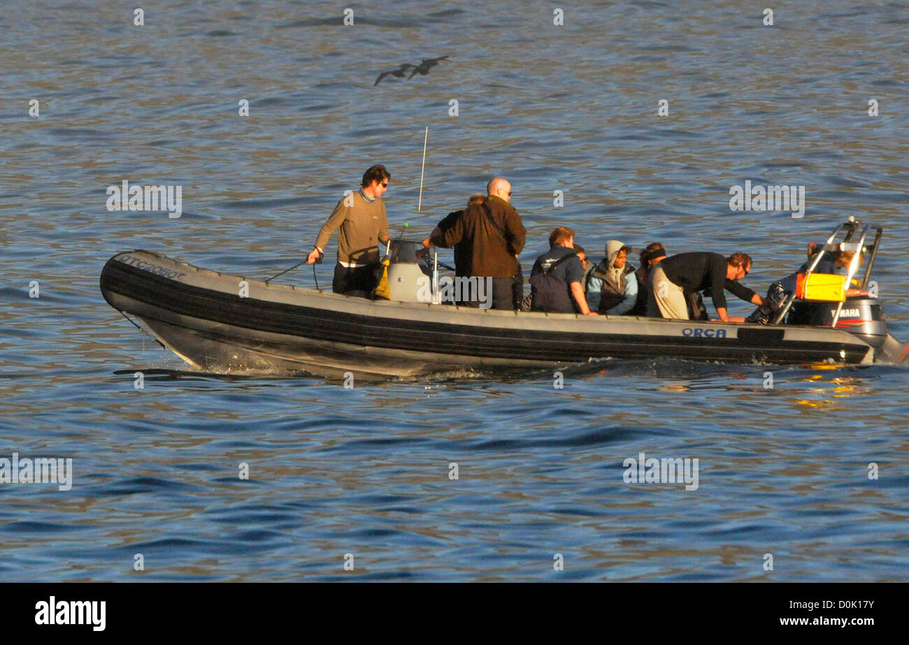 Halle berry cast dark tide hi-res stock photography and images - Alamy