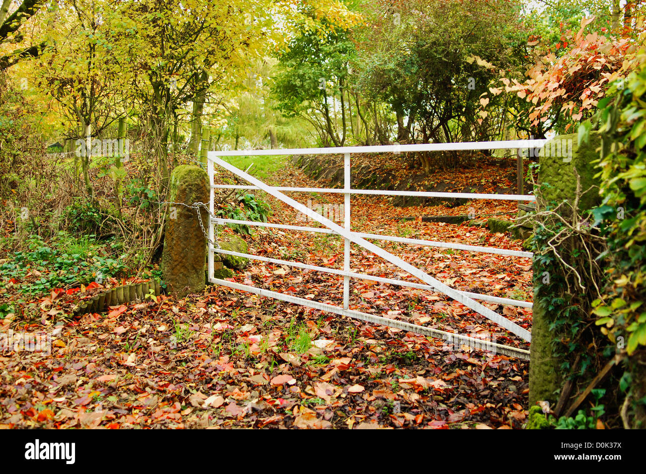 Five barred gate and pathway in autumn, Weeton,Lancashire Stock Photo ...