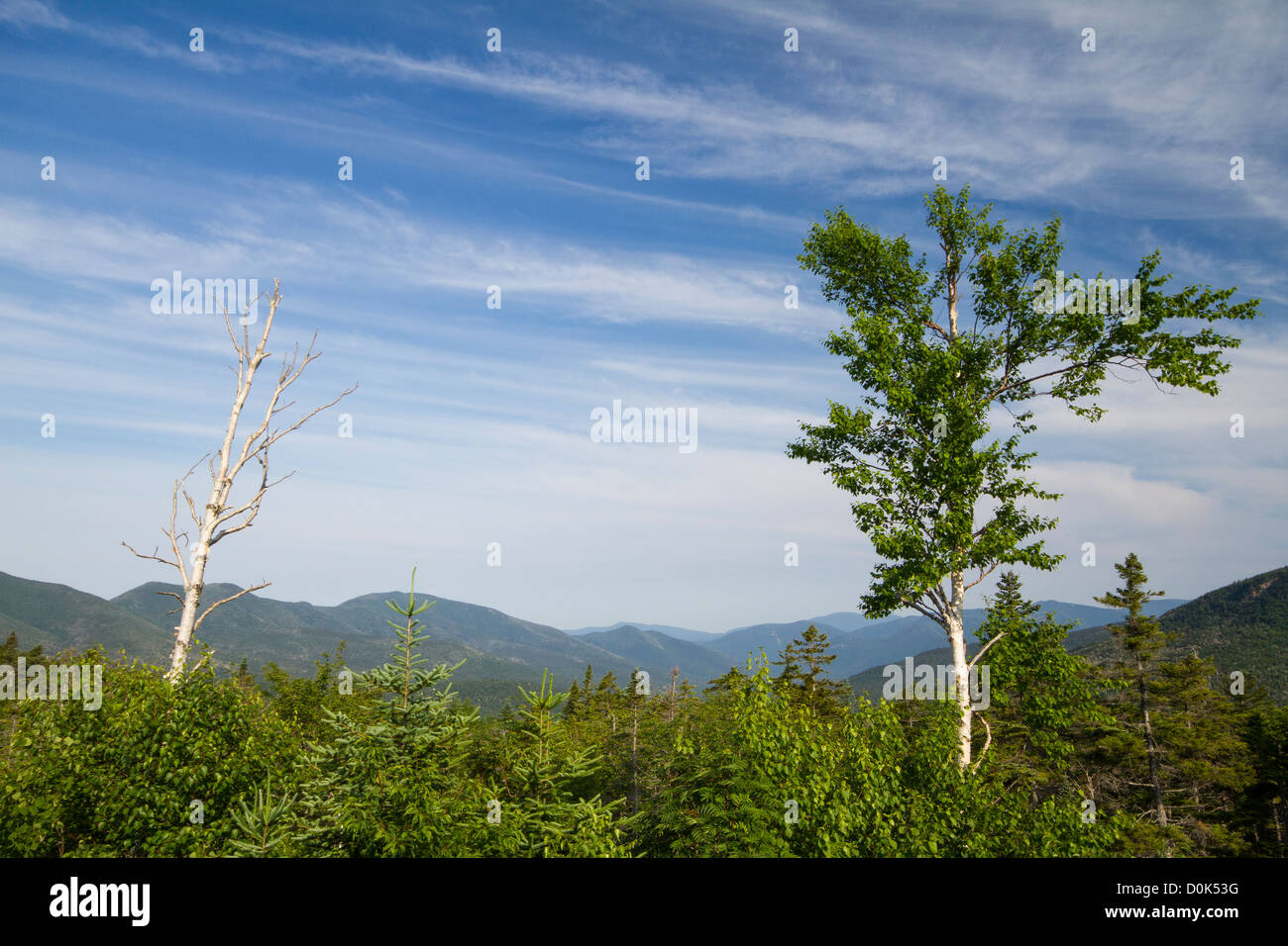Overlook scenery hi-res stock photography and images - Alamy