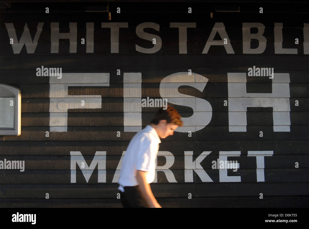 Past with fish hi-res stock photography and images - Alamy