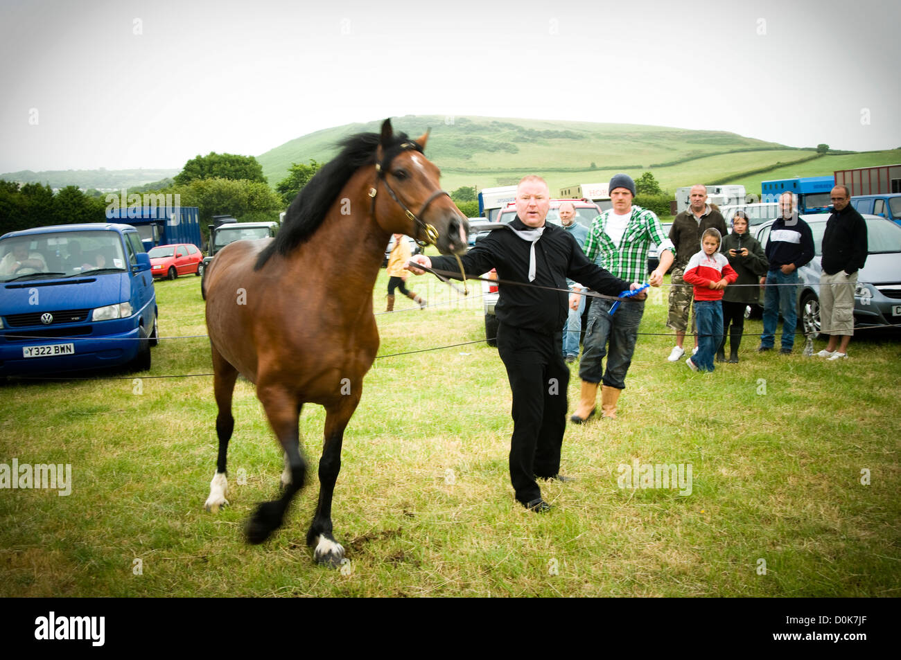 Welsh activities hi-res stock photography and images - Alamy