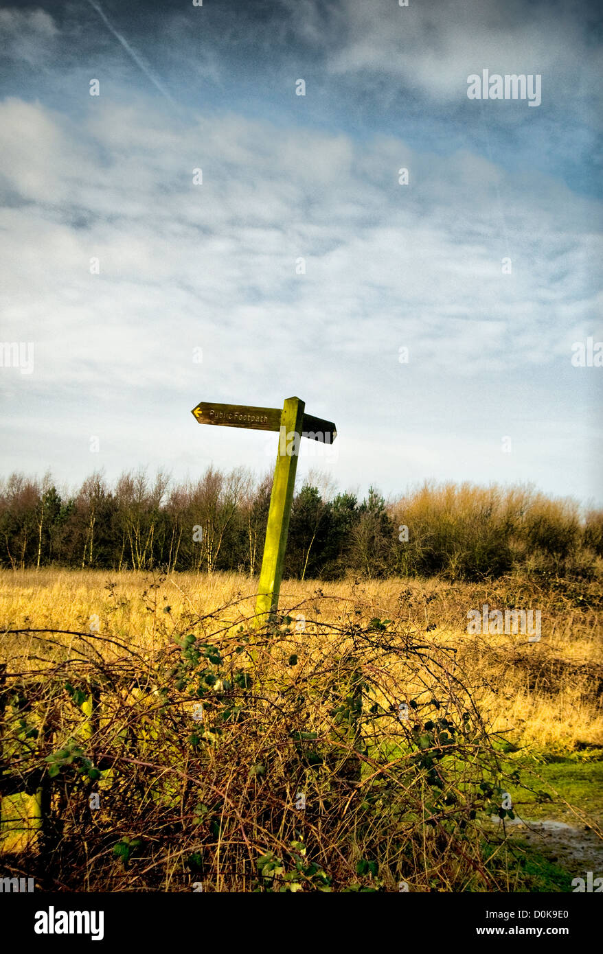 Signpost in a muddy field Stock Photo - Alamy