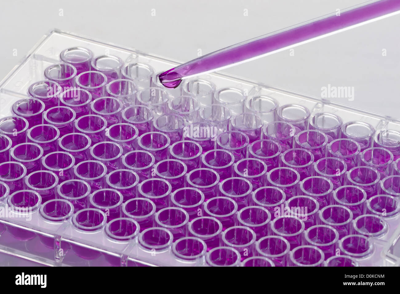 Biochemical testing plate hi-res stock photography and images - Alamy