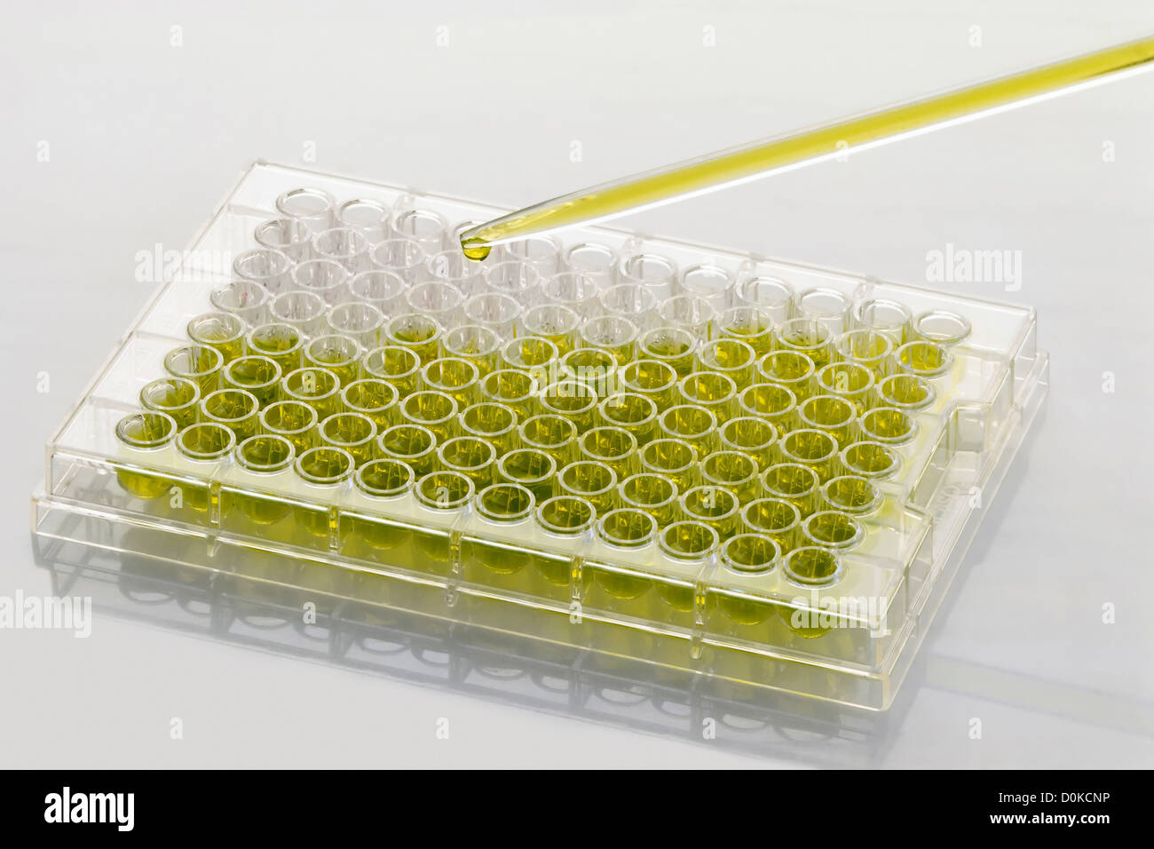 Multi well sample tray hi-res stock photography and images - Alamy