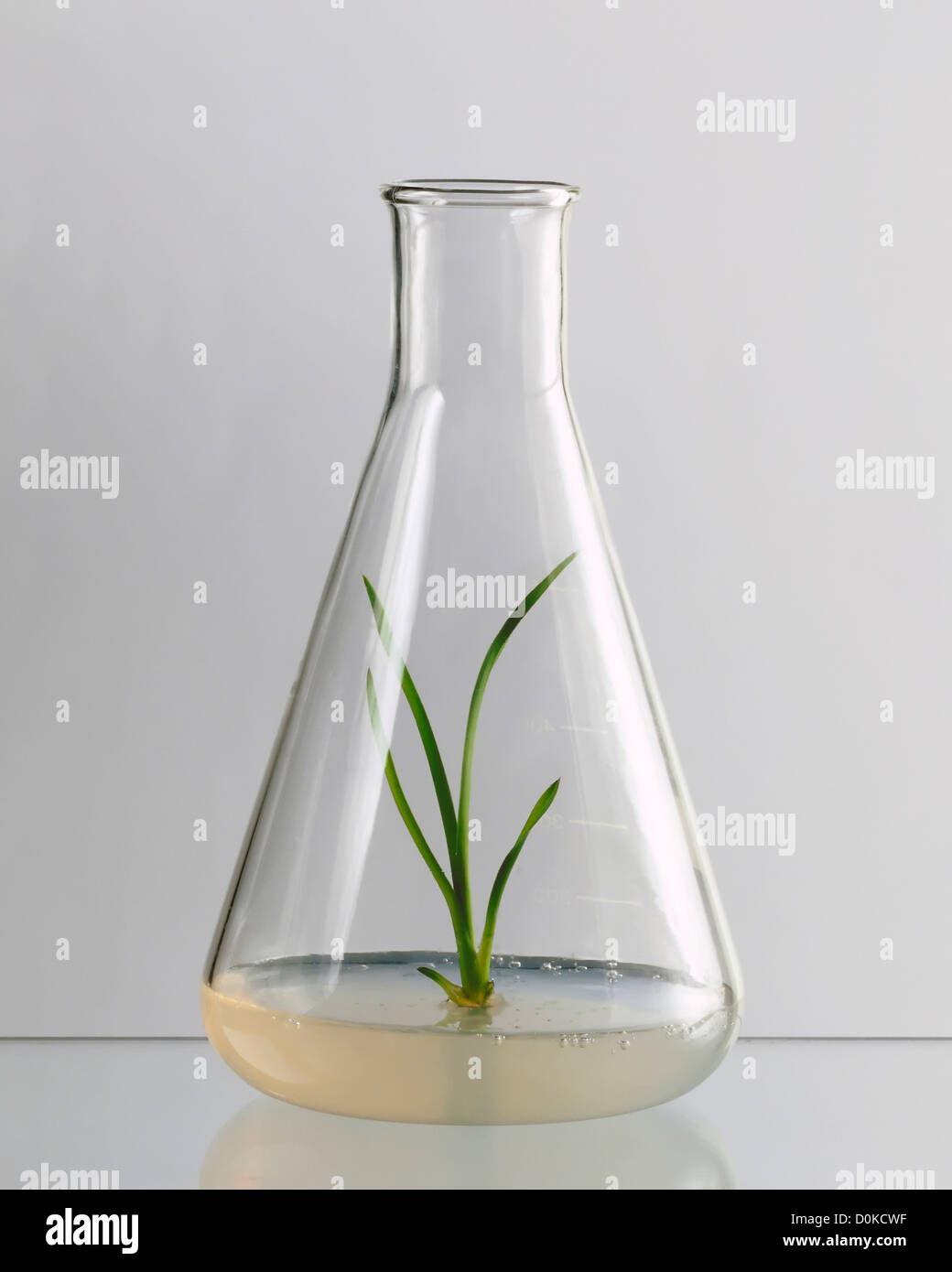 Agricultural research hi-res stock photography and images - Alamy