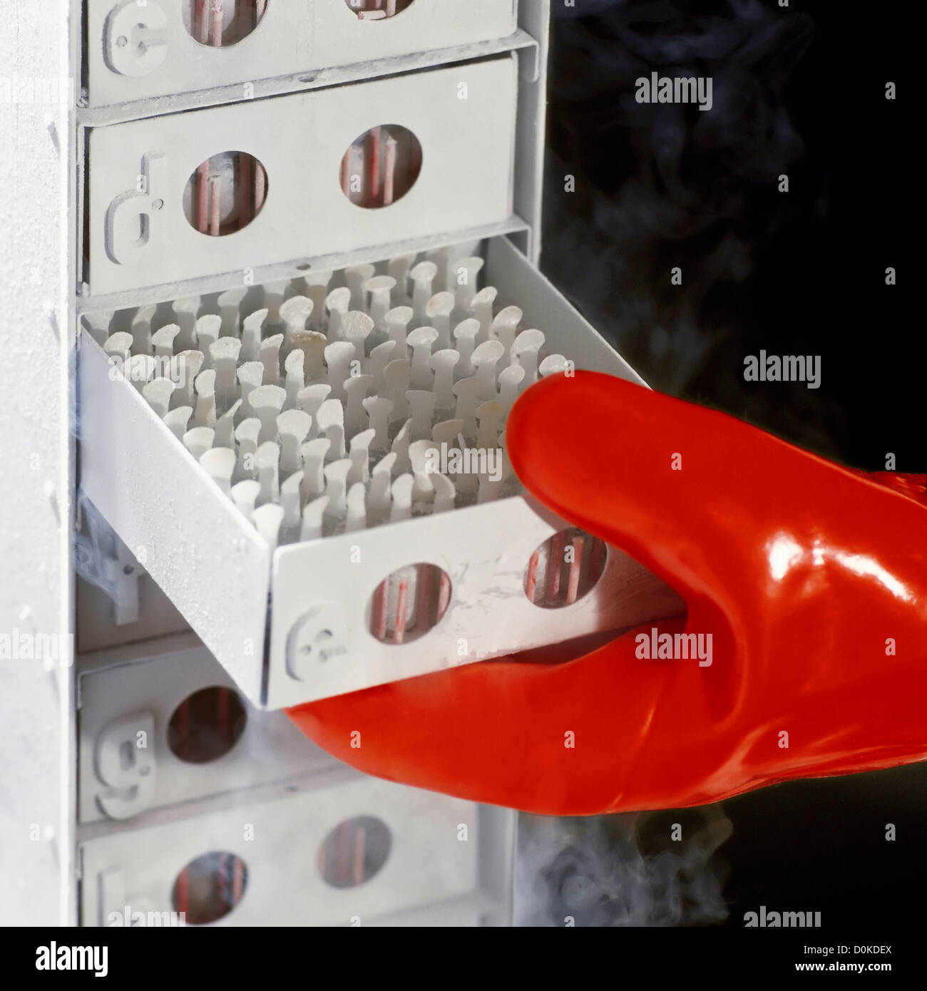Cryo Storage of Cell Cultures Stock Photo - Alamy