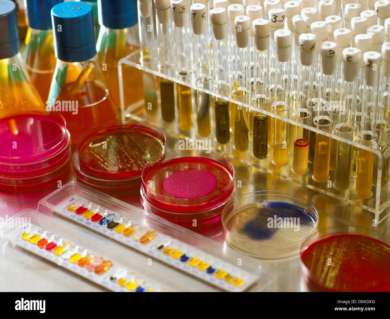 Bacteriology tube agar hi-res stock photography and images - Alamy
